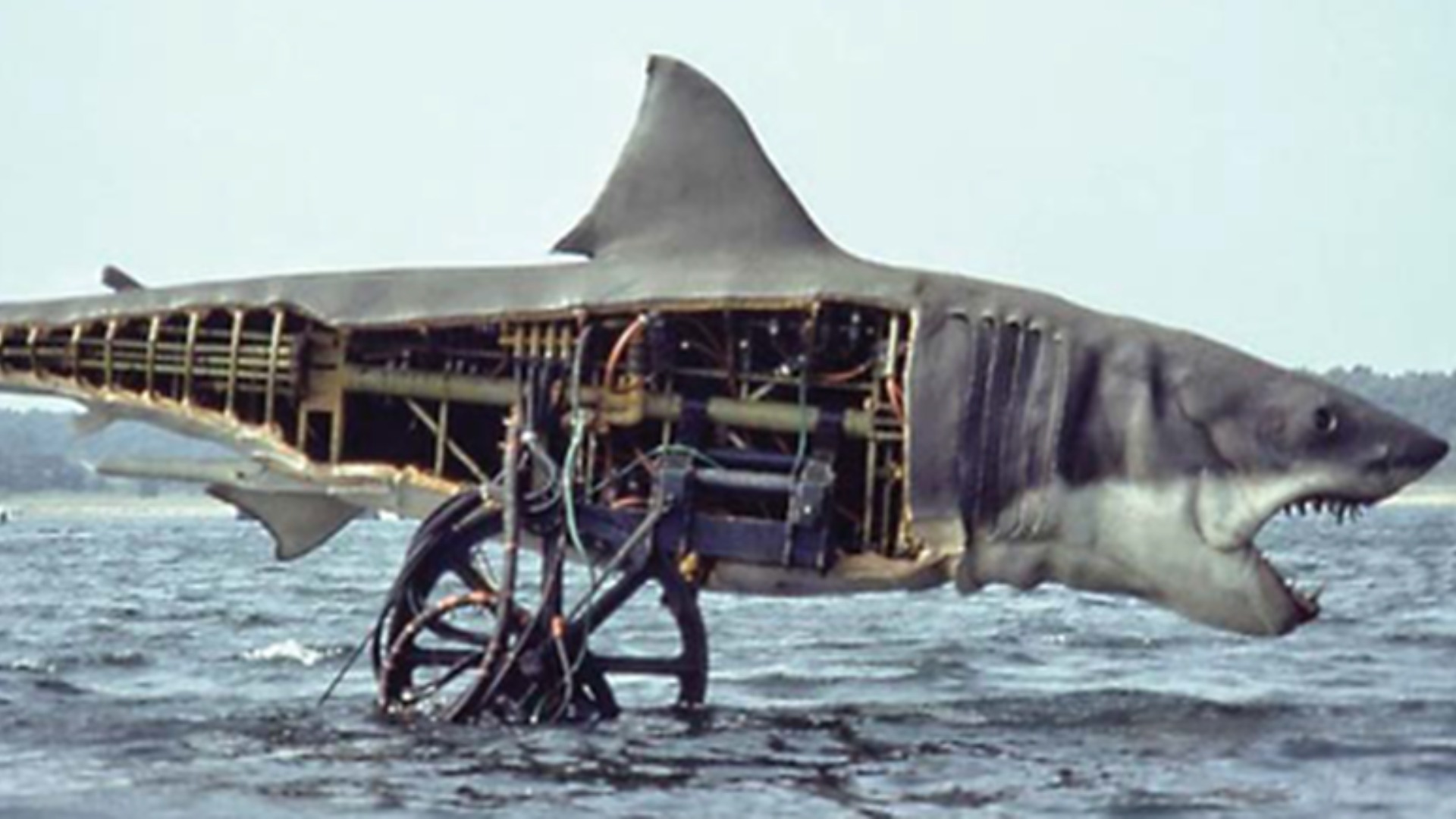 10 little-known facts about 'Jaws'