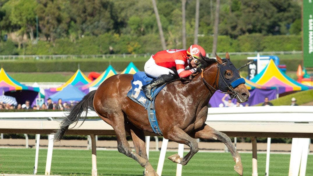 Pat Day Mile fourth secured freedom leads Affirmed Stakes