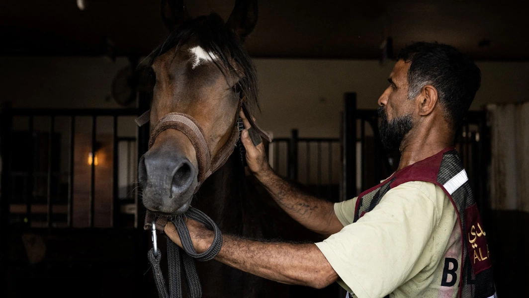Horse care tips every rider should know