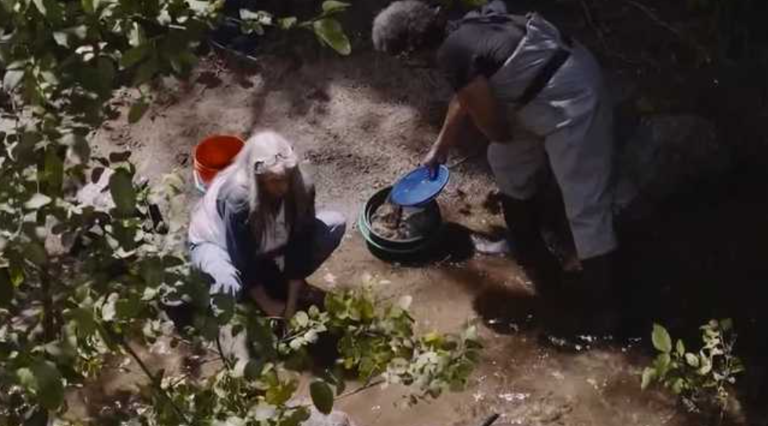 Prospectors still searching for gold at historic California sites
