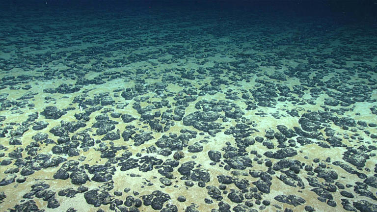 Mining companies may soon bypass UN rules and mine the deep sea
