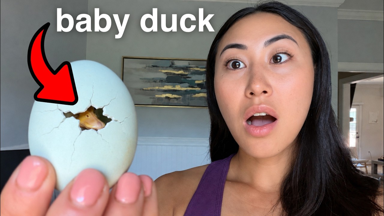 I can't believe it hatched!