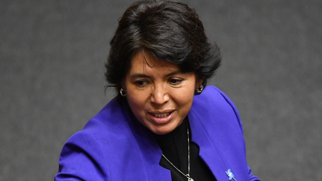 Senadora Provoste valora advertencias del CFA sobre Ley Miscelánea ...