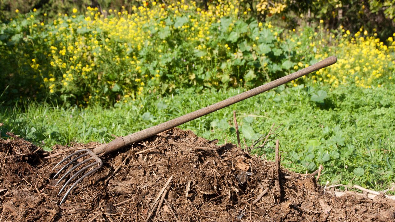I protected my new build garden from waterlogging with this smart soil ...