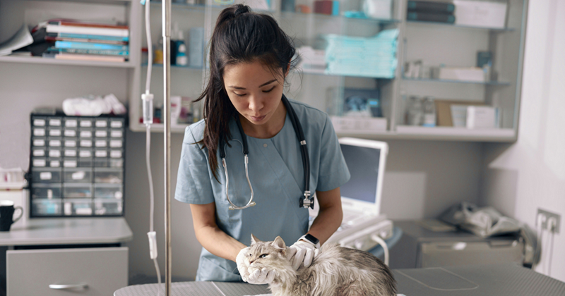 Vet office employee gets tired of hunting down coworker for handovers ...