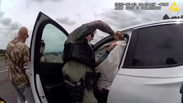 Hillsborough deputies save life of woman found without pulse after ...