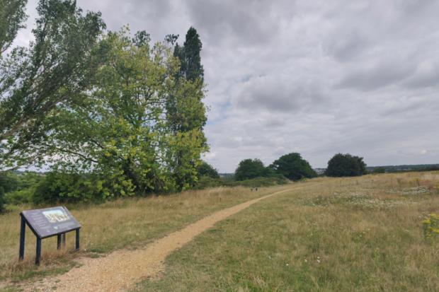 Council could seek legal action against illegal traveller site on ...