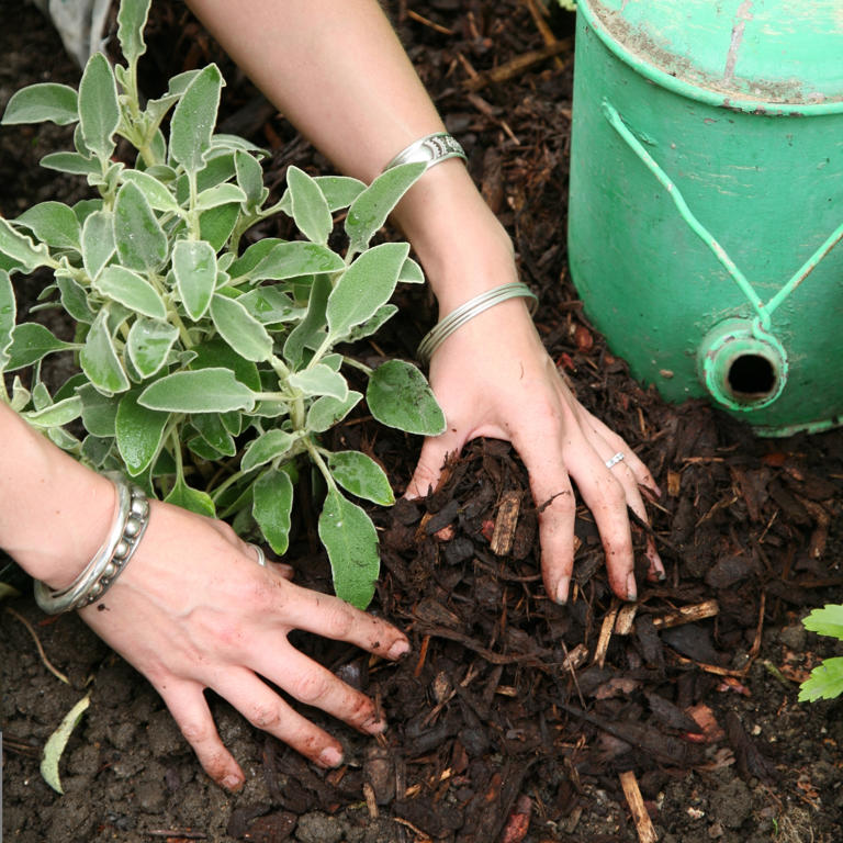 I protected my new build garden from waterlogging with this smart soil ...
