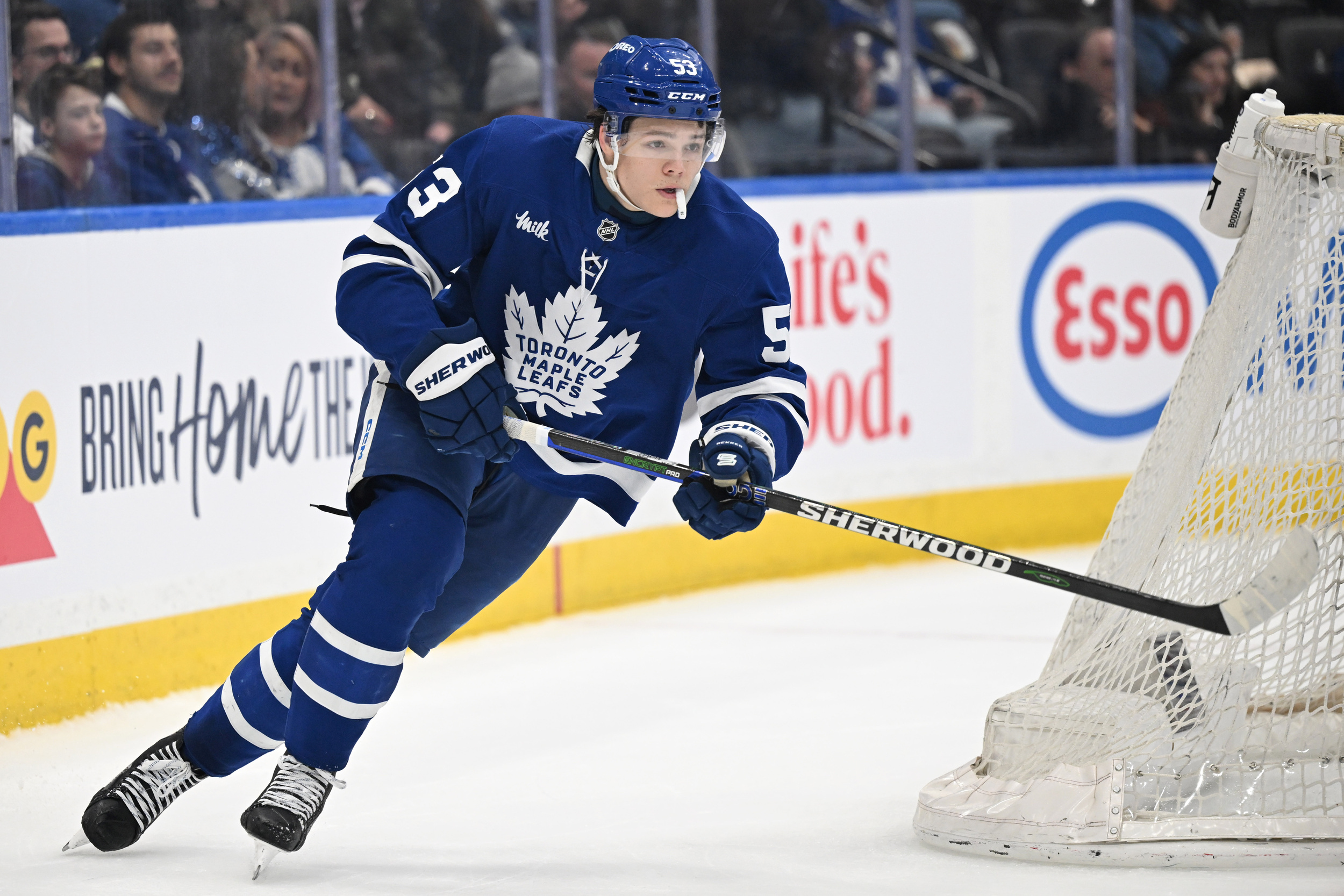 How the Marlies’ Calder Cup playoff run is shaping the future Leafs core
