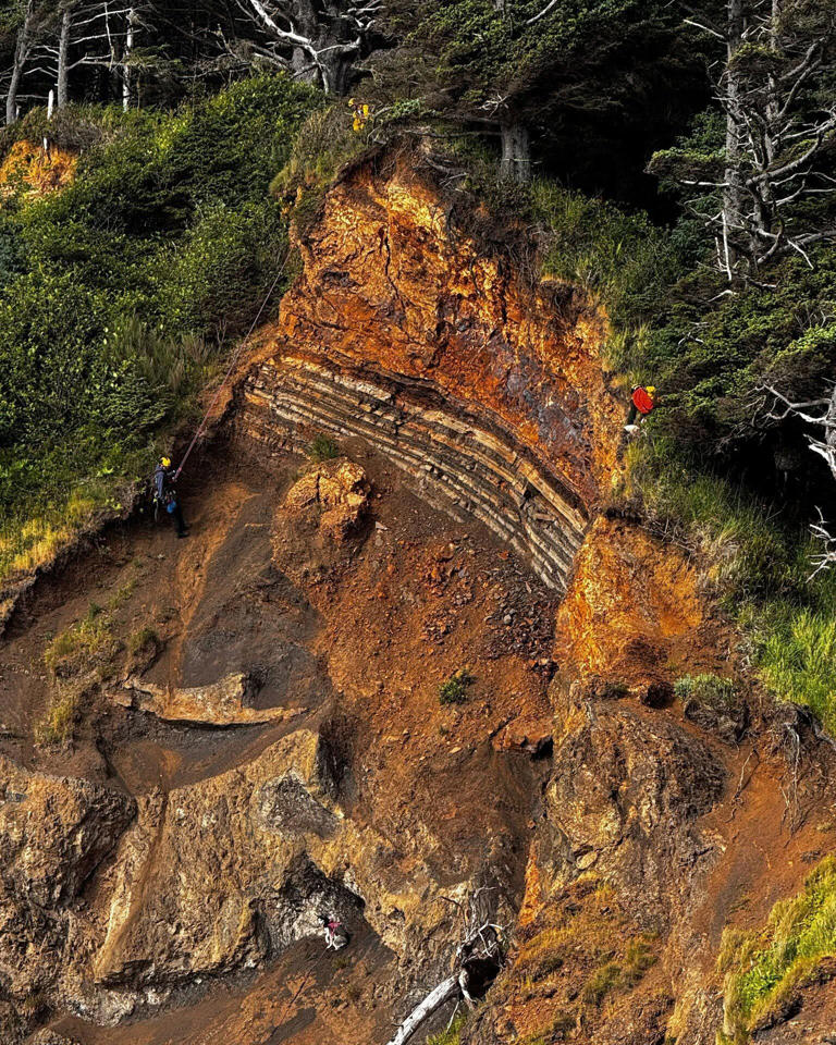 Firefighters rescue dog from cliff at Ecola State Park