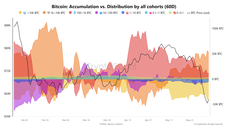 'Best thesis' for Bitcoin accumulation surfaces despite current ...