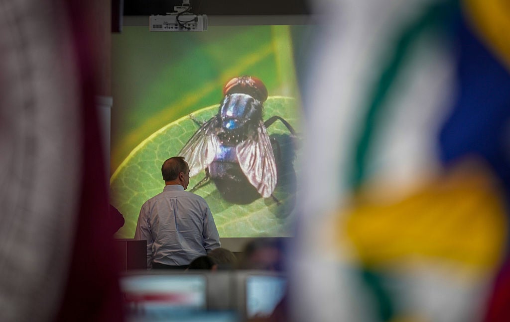 Texas activates emergency operations center after flesh-eating parasite ...