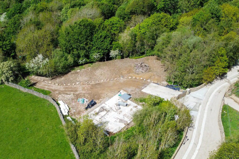 Firm ordered to plant 300 trees after woodland lodges row