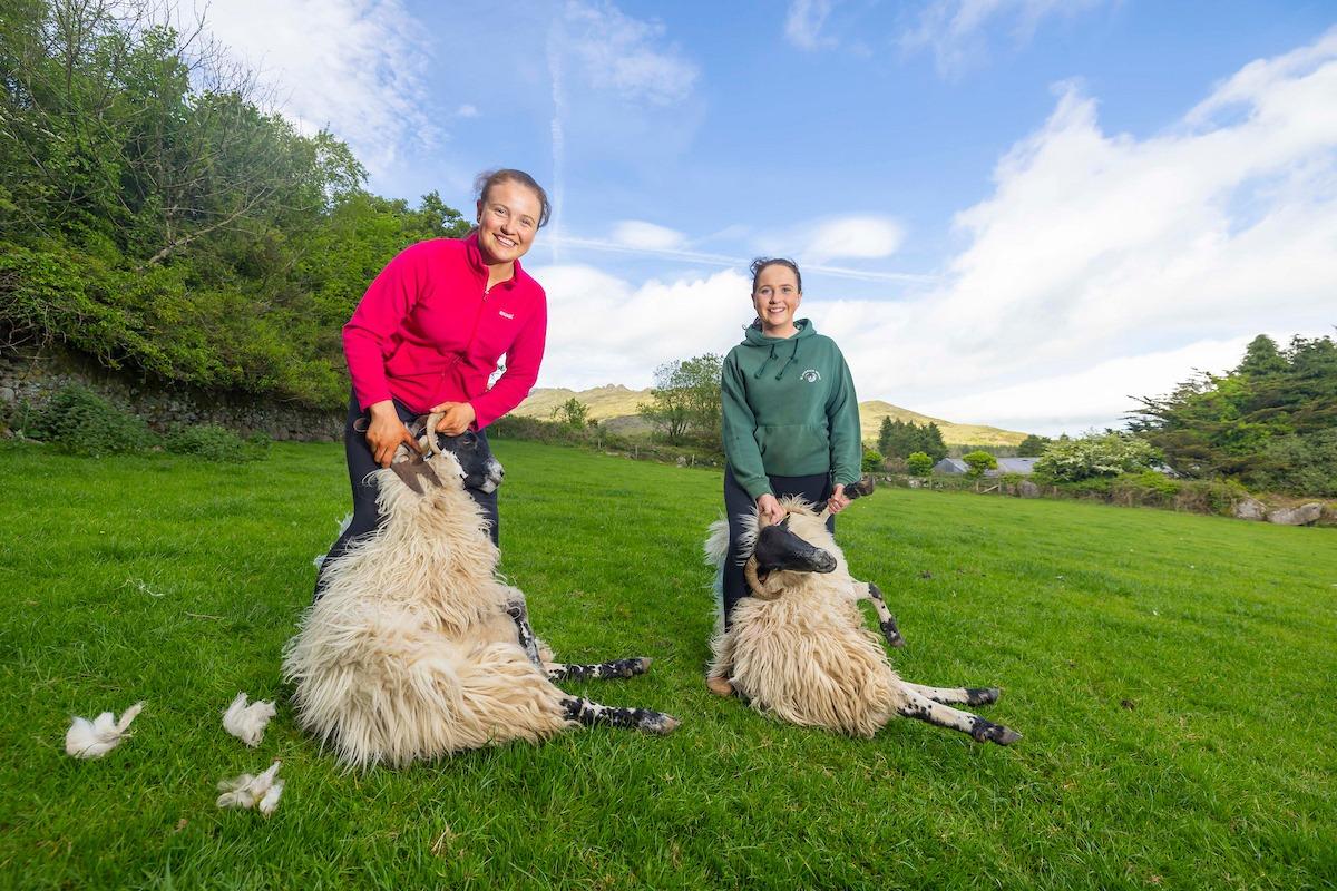 Comeraghs Wild Festival launches full programme for a summer of music ...