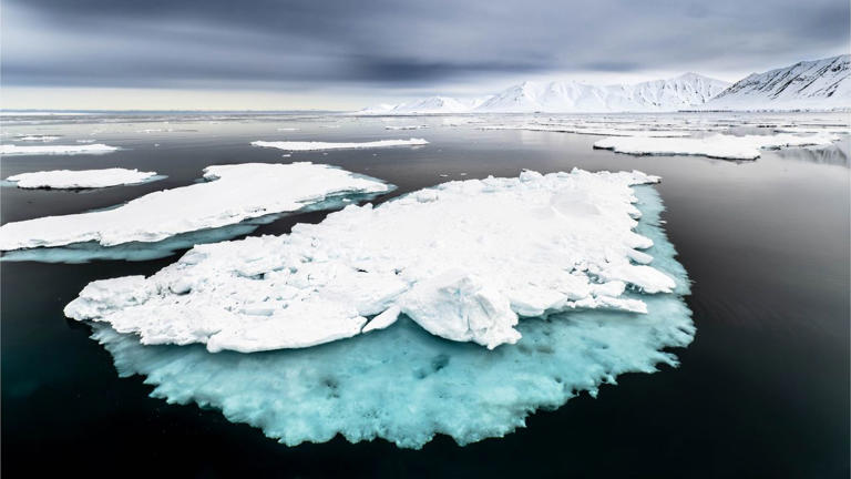 Sea ice loss in the Arctic has triggered a critical tipping point that ...