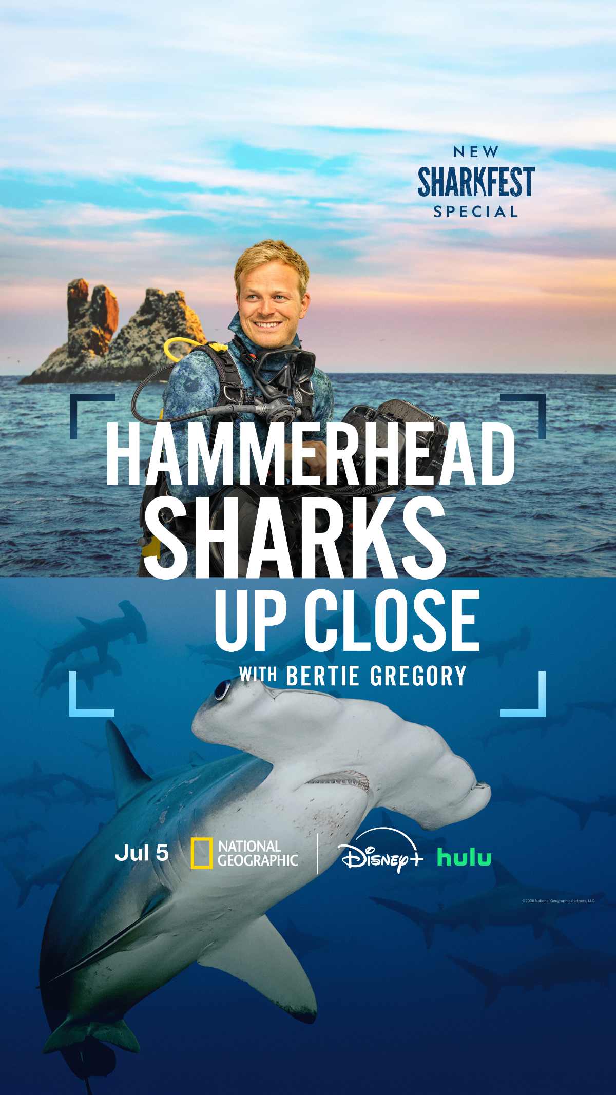 SharkFest 2026 programming kicks off with hammerhead sharks