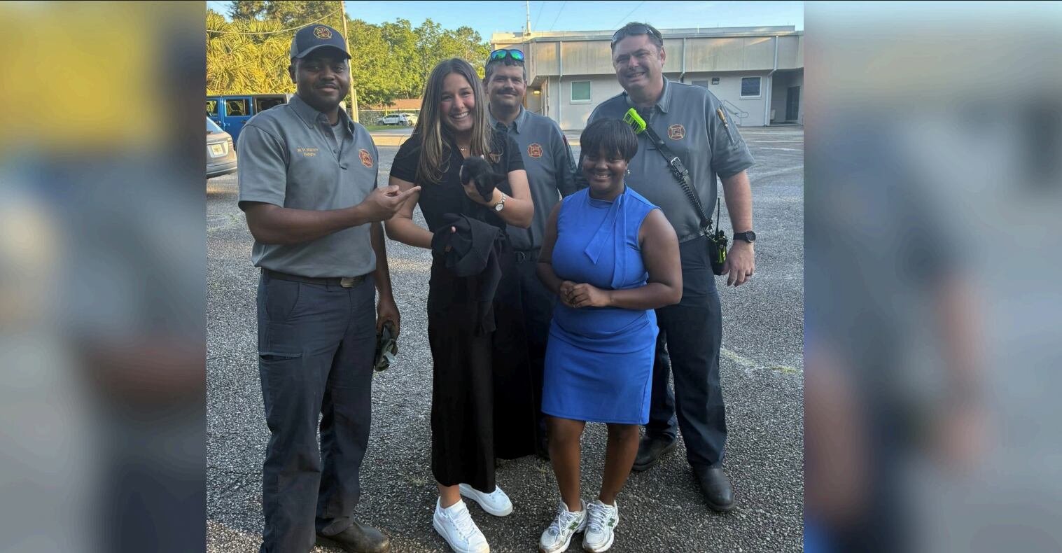 Albany firefighters rescue kitten from car hood at WALB