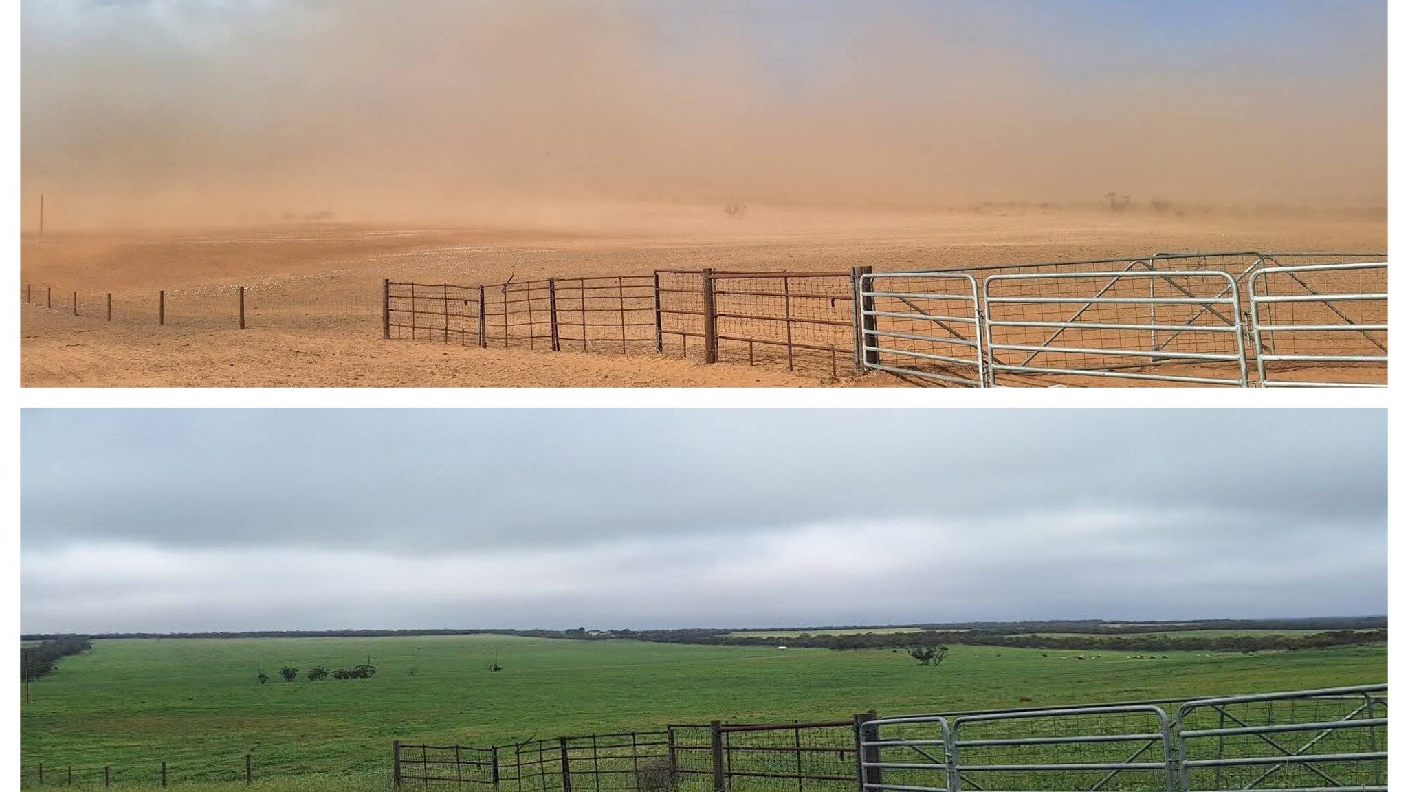 Record autumn rain sparks recovery across South Australia, but not all ...