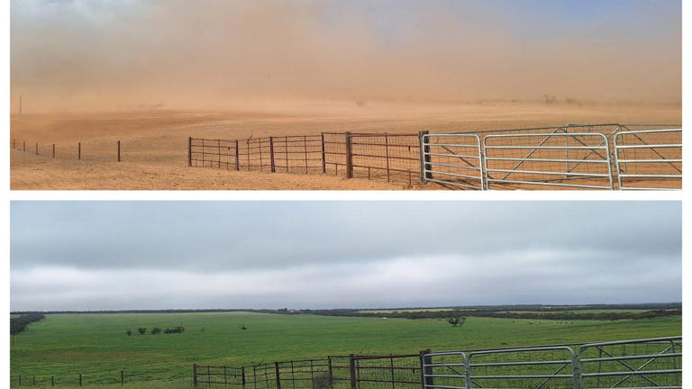 Record autumn rain sparks recovery across South Australia, but not all ...