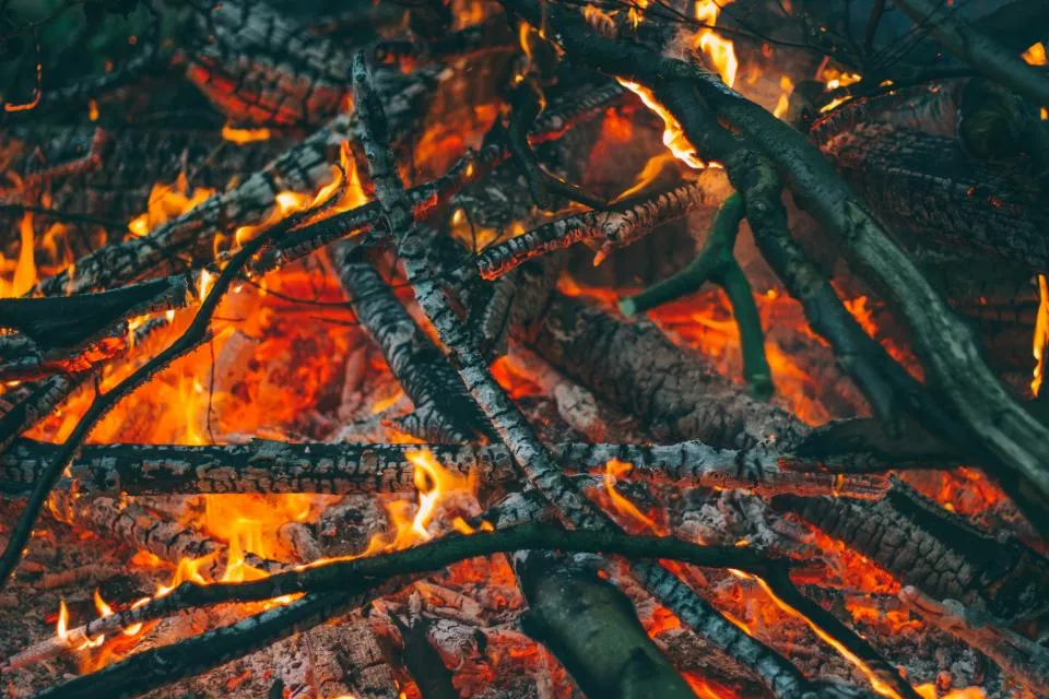6 reasons why you should start using wood ash in your garden