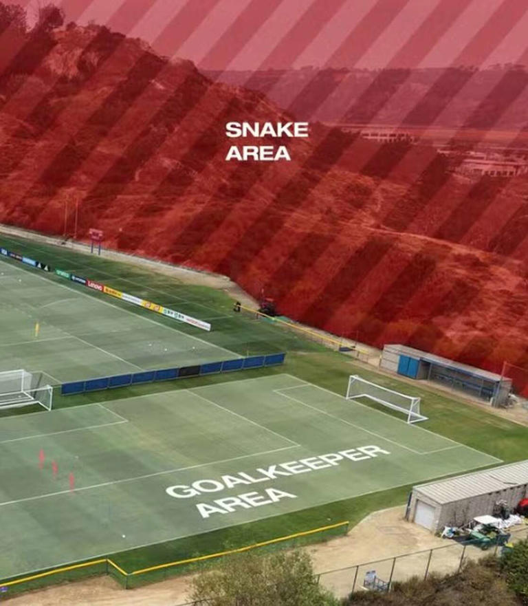 Copa do Mundo: presença de cobras ao lado do CT soa alarme em delegação ...