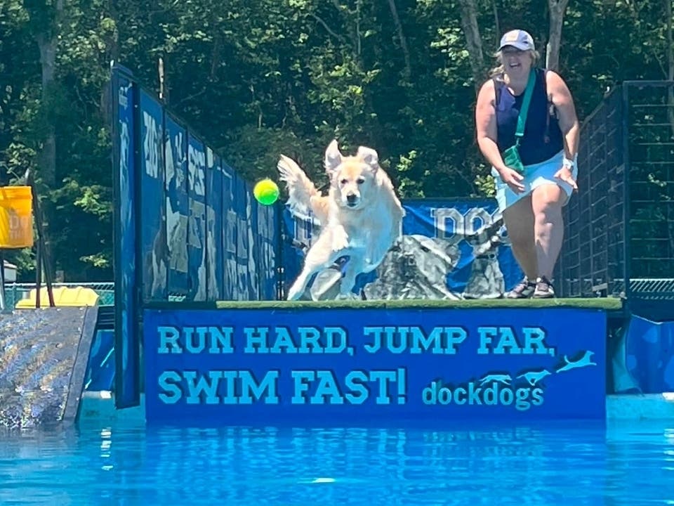 Dog dock diving weekend delights in Greenport: Photos, video