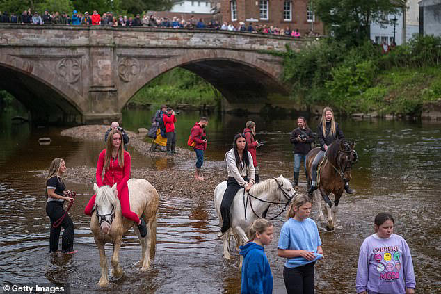Moment horse is swept away in river while being washed at huge Gypsy ...