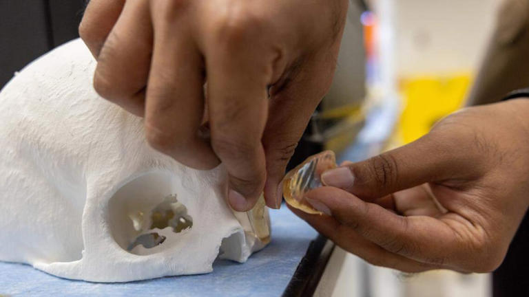 3D-printed bones? Science fiction comes to life at a Florida university ...