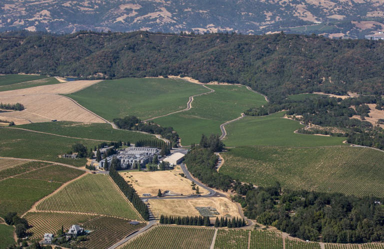 America’s biggest winemaker Gallo shuts another California hub and ...