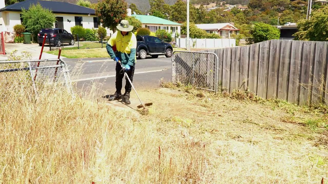 This yard was totally overgrown (I spent 13 hours on a rescue mission)!
