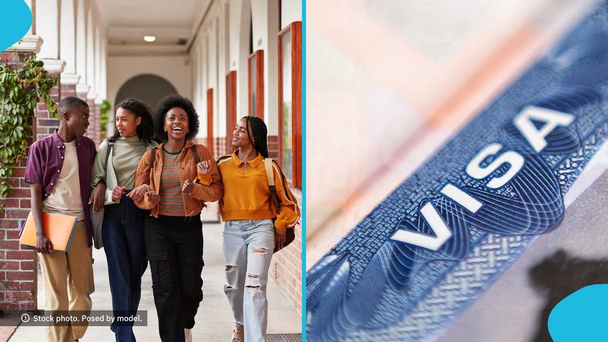 New Zealand announces new work visa opportunities for international ...