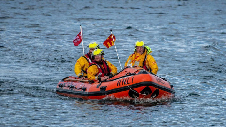 Bruce the dog rescued from kayak lost at sea