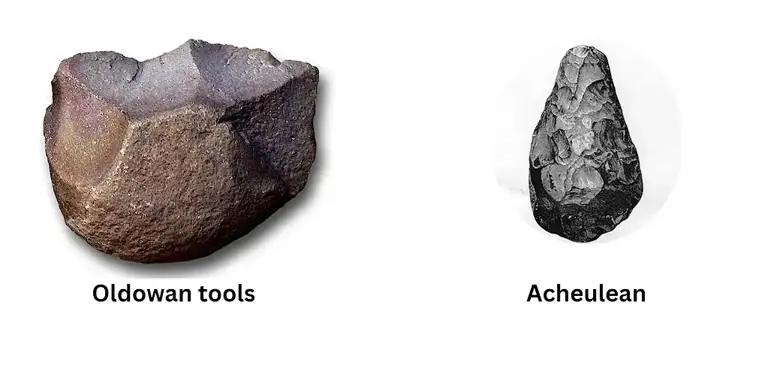 How stone tools, fire, and language paved the highway to AI