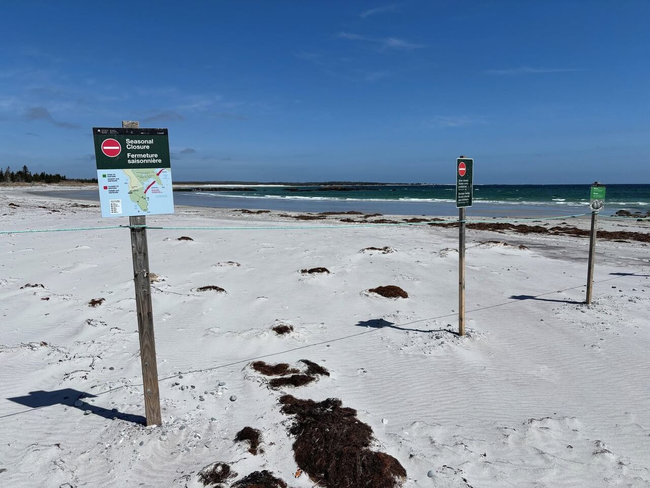Parks Canada reminds public to respect NS beach closures for piping plovers