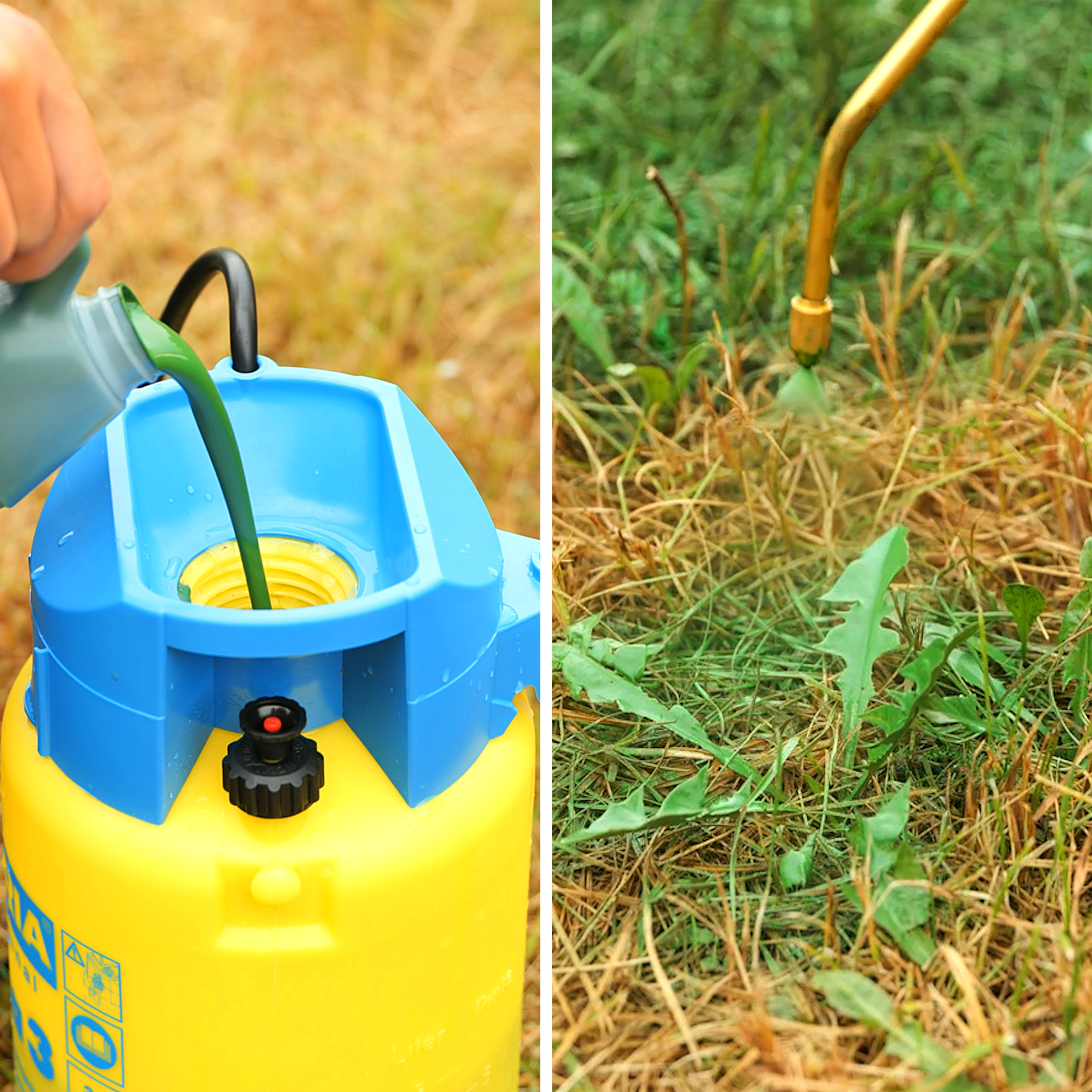 Creative yard and lawn care tips you need to try