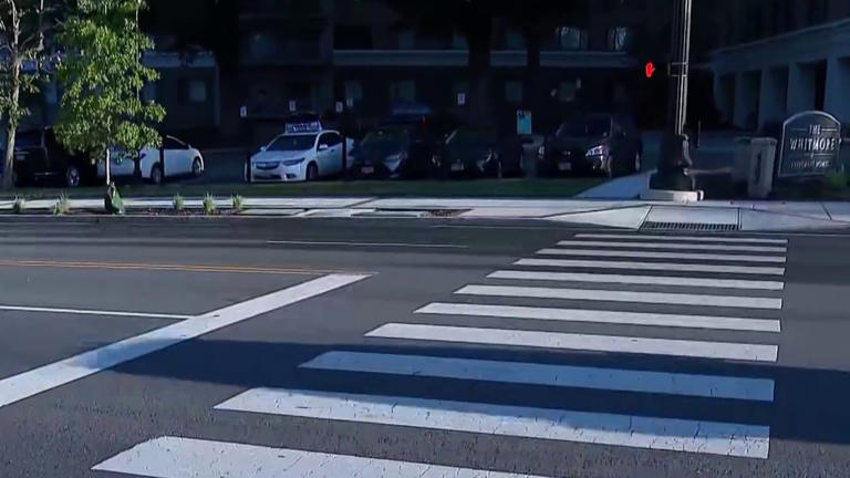 Woman killed in hit-and-run on Columbia Pike in Arlington
