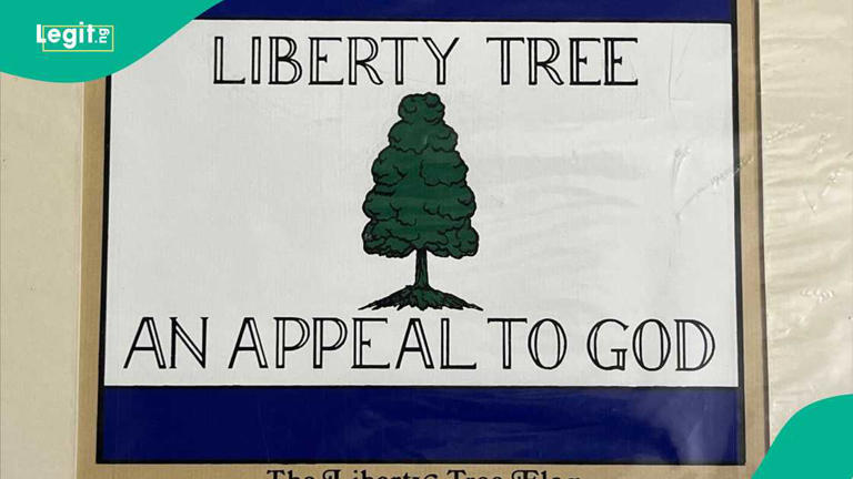 Full images of US old flags emerged, showing how their designs evolved
