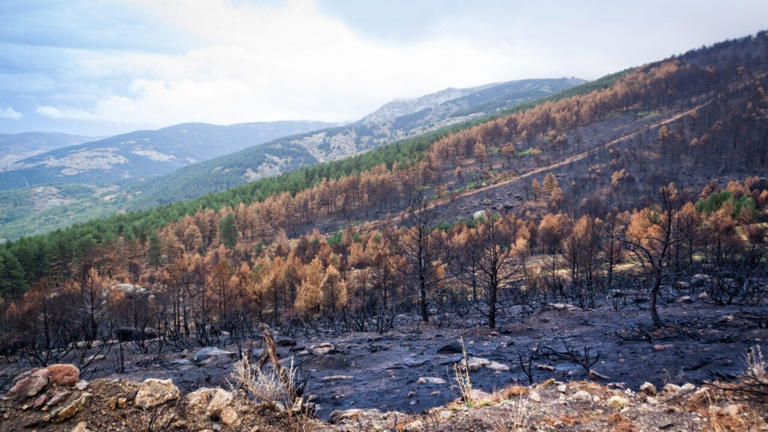 Ocean collapse triggered ancient wildfires, research suggests