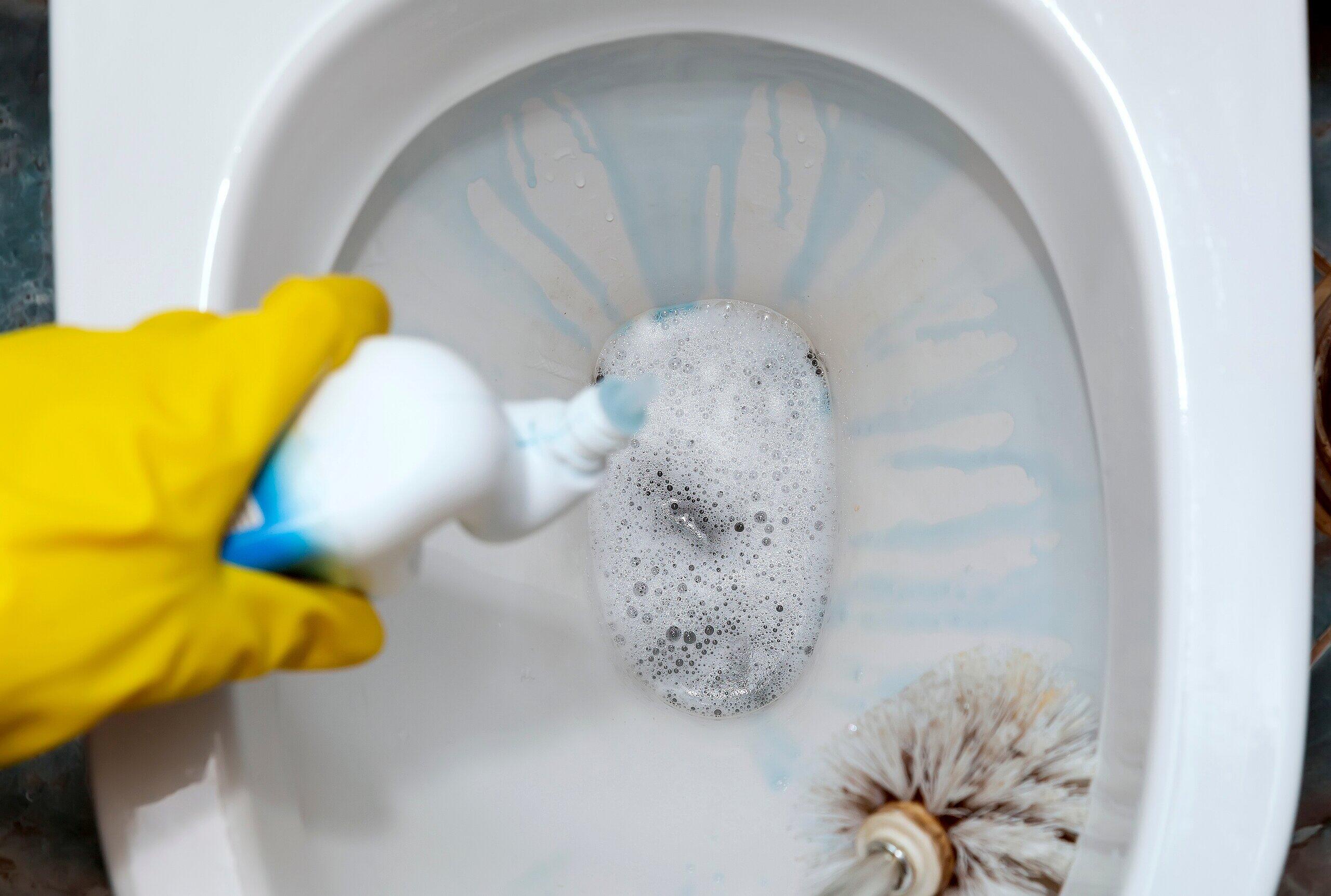 WC-Reiniger im Test: Dieses Discounter-Produkt schlägt alle Marken