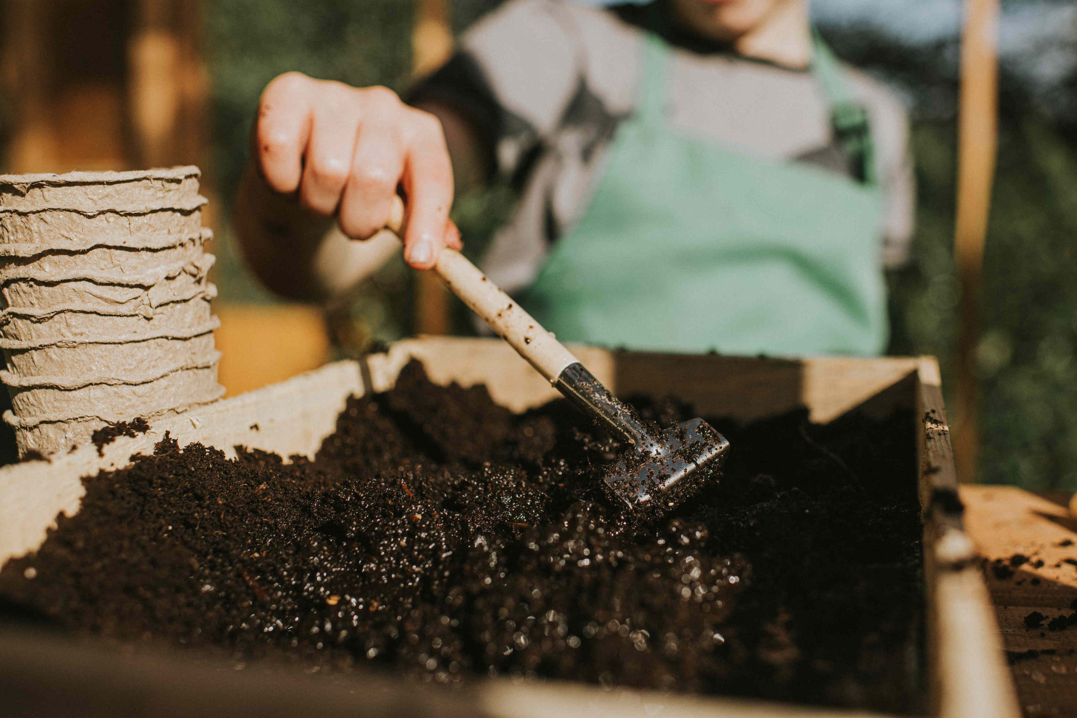 The difference between compost, potting soil, and topsoil—and when to ...