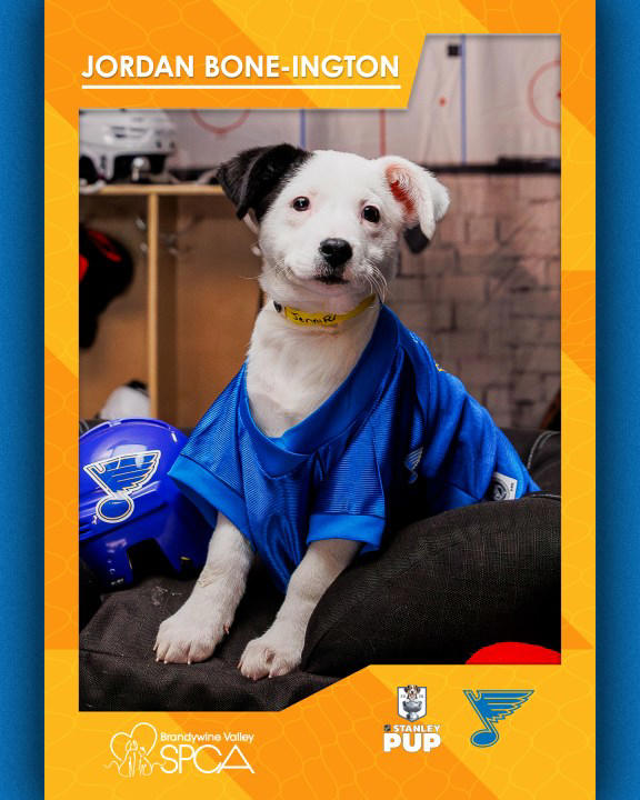 ‘Jordan Bone-ington’ to represent St. Louis Blues in 2026 Stanley Pup