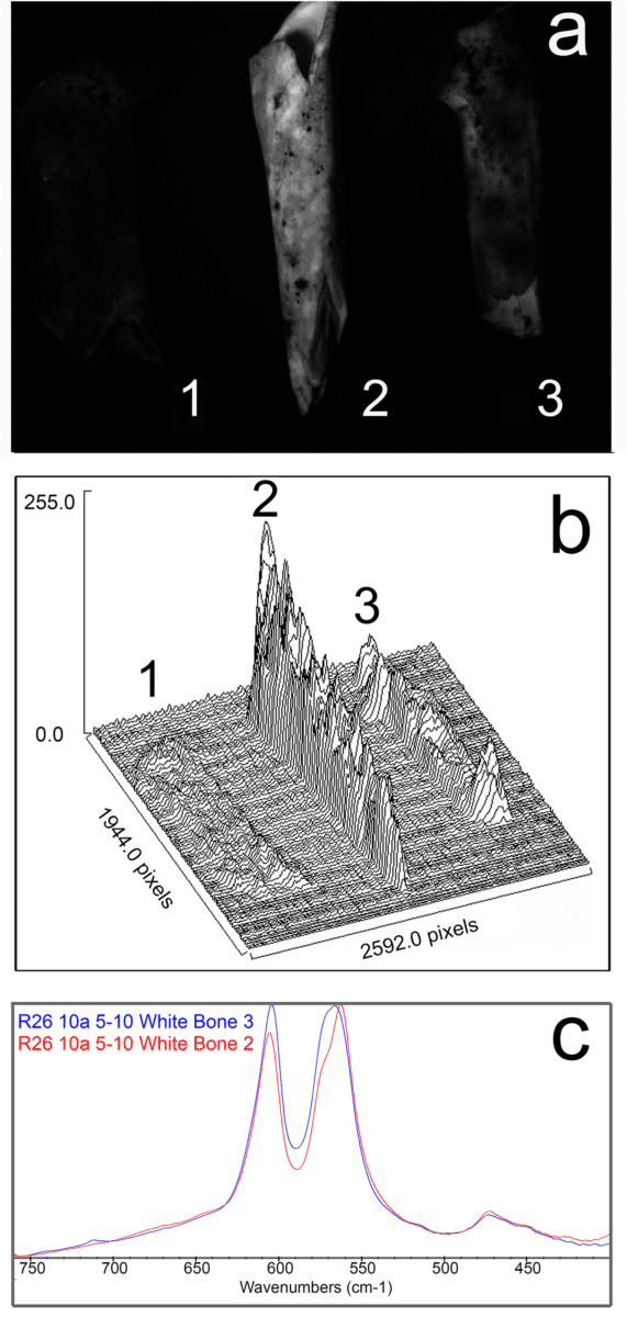 Scientists find 1.8-million-year-old fire evidence deep inside South ...