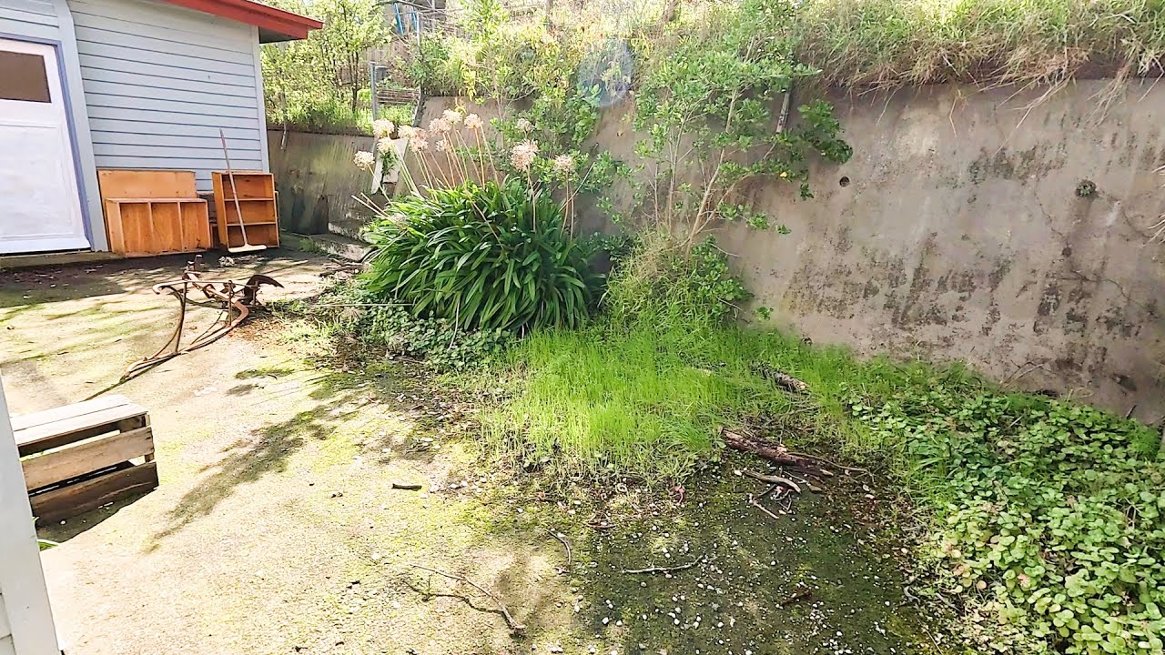 A death in the family creates an almighty cleanup | Unbelievable ...