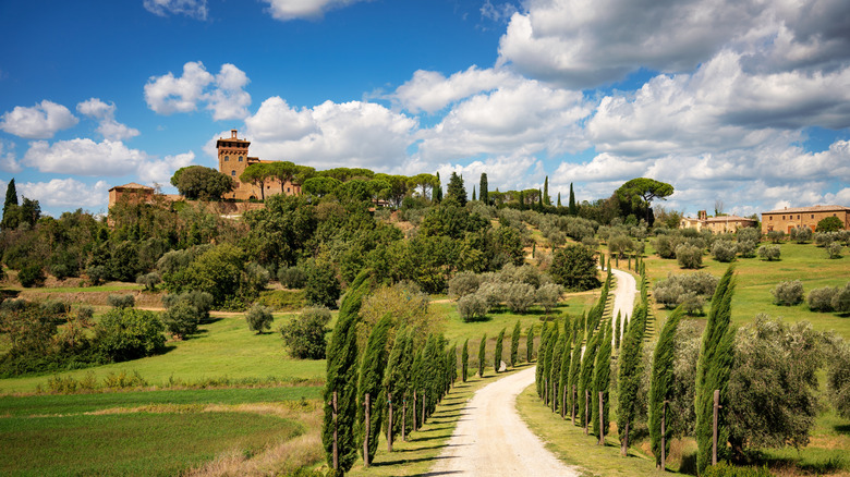 12 best farm stays in Italy, according to tourists