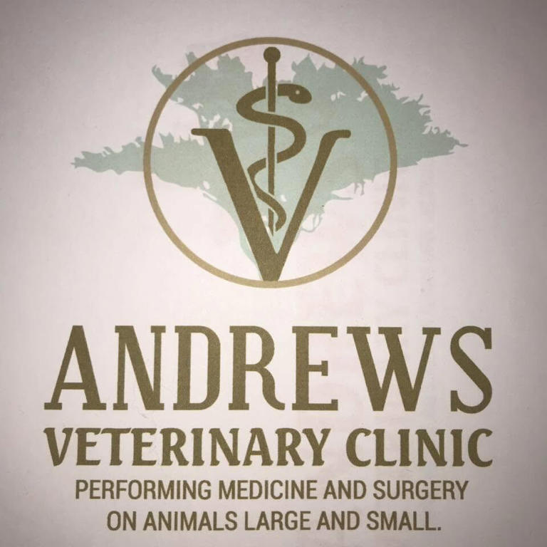 New World screwworm case confirmed in dog, Andrews Veterinary Clinic says