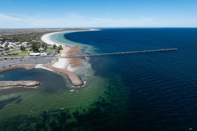 A year on, Australia’s biggest harmful algal bloom continues to wreak havoc