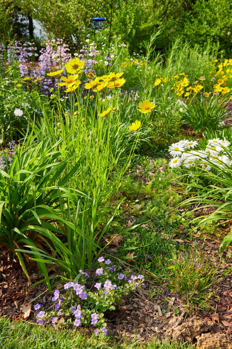 The English-inspired garden trend convincing homeowners to ditch grass