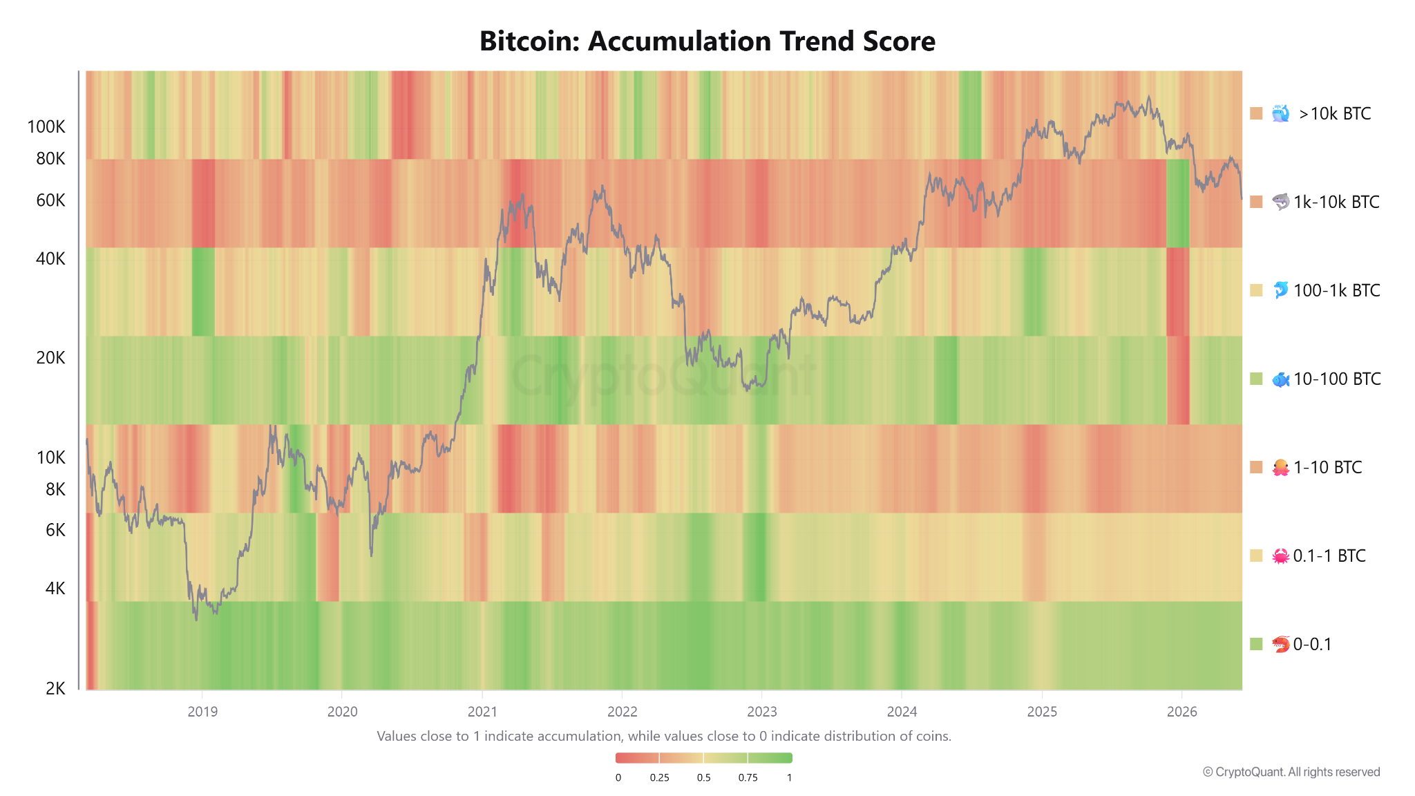 'Best thesis' for Bitcoin accumulation surfaces despite current ...