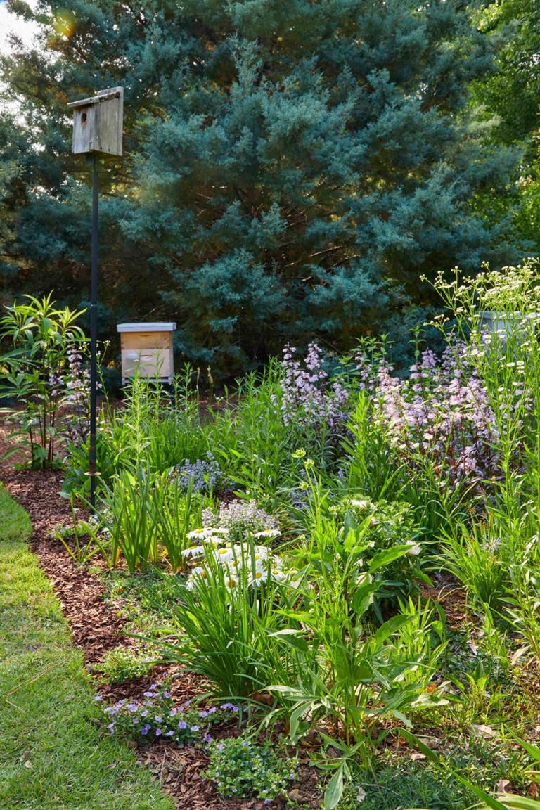 The English-inspired garden trend convincing homeowners to ditch grass