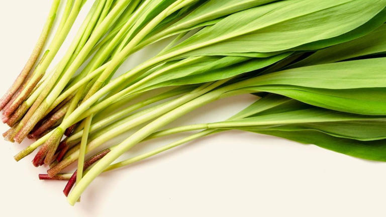 3 facts about ramps